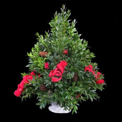 Upcoming Events – Ganim's Garden Center | Fairfield CT